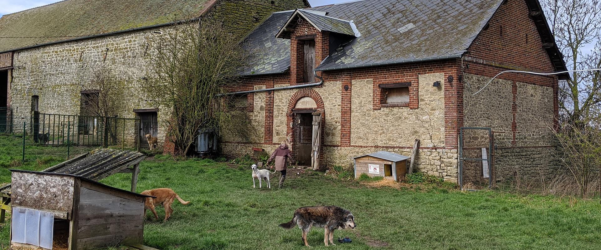 La ferme-refuge du Quesnoy - Association AVA - Agir pour la Vie Animale