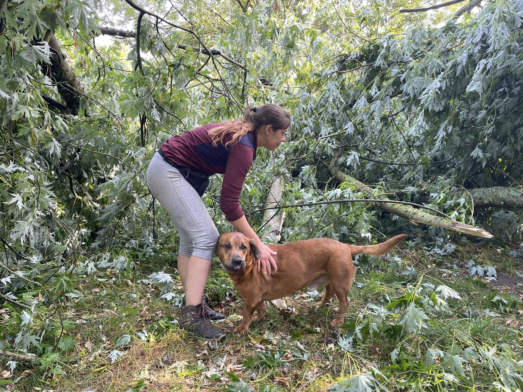 Apocalypse à la ferme-refuge AVA : Un orage ravage notre refuge ...